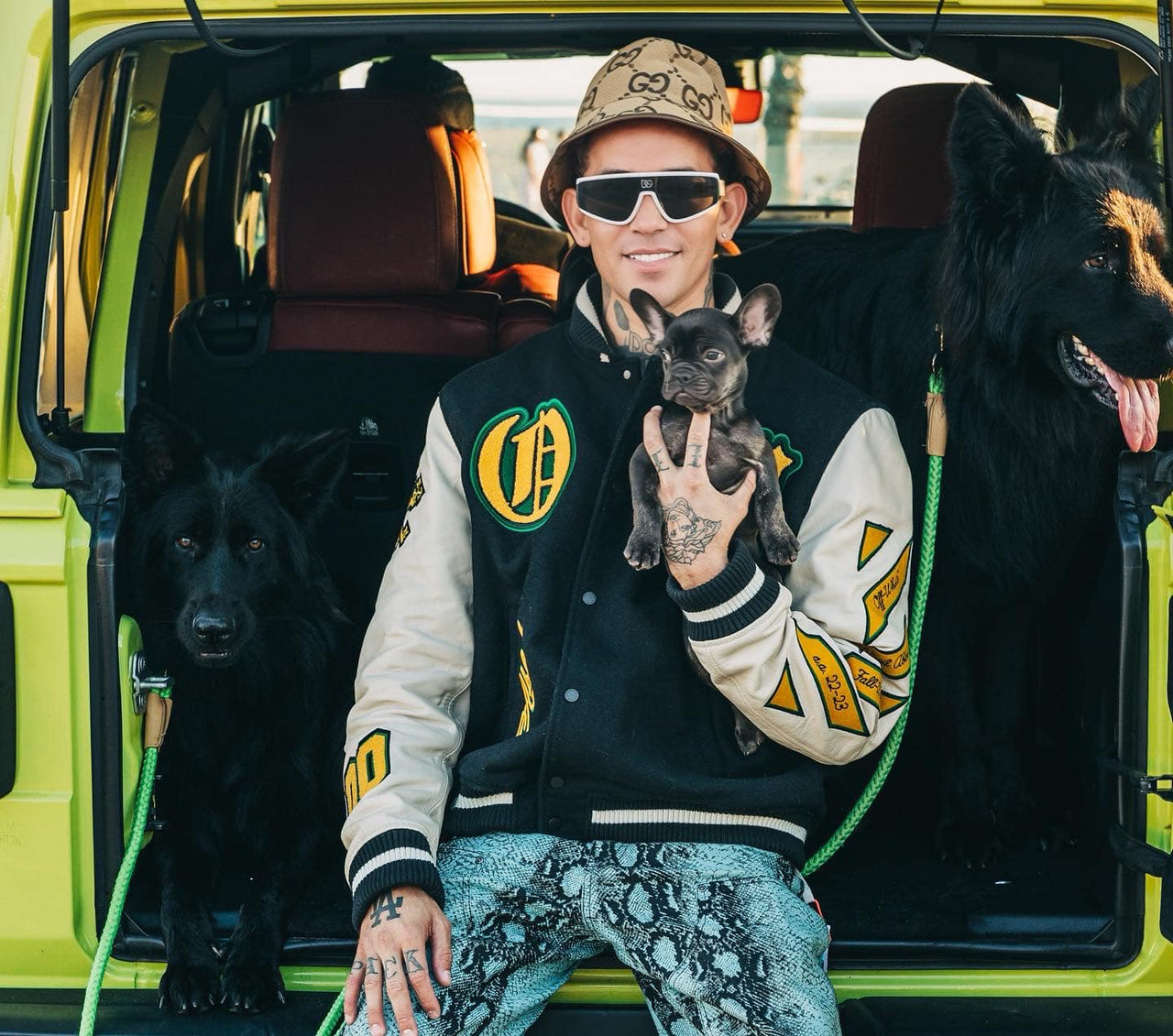 The Dog Daddy - Your Favorite Dog Trainer