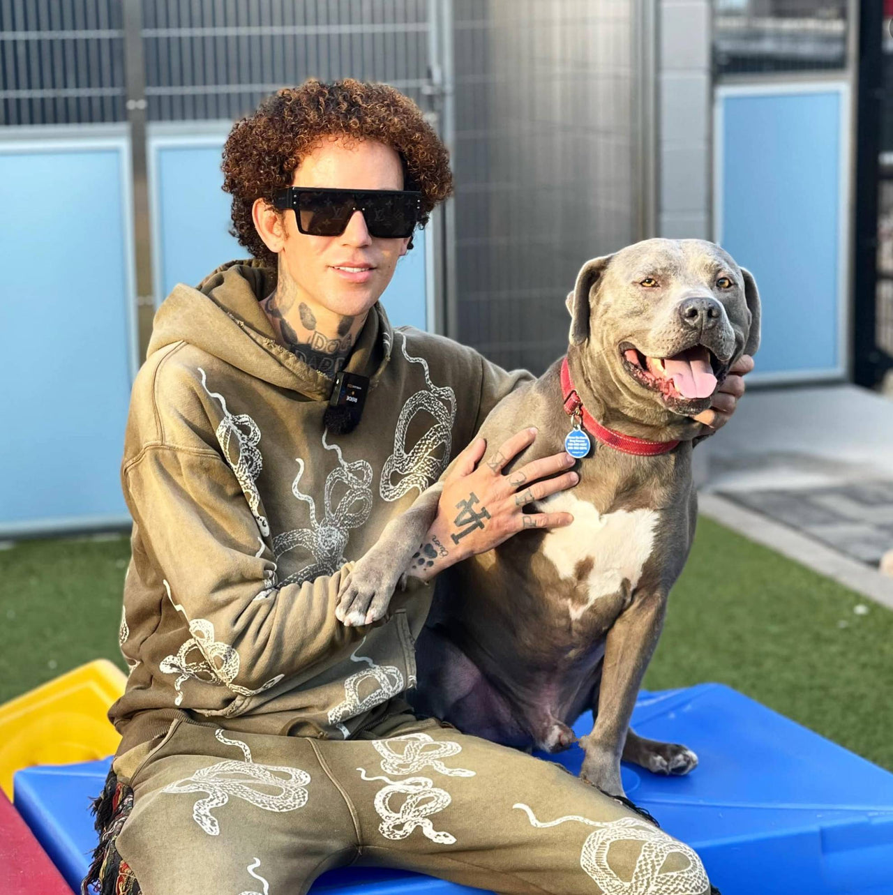 Online Classes with The Dog Daddy